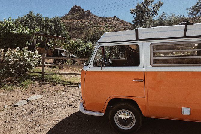 Private Vintage VW Hippie Tour to Malibu with wine tasting - Final Thoughts: Who Will Love This Tour?