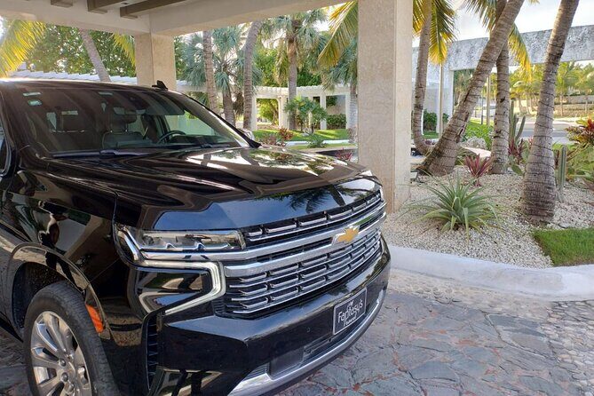 Private VIP Shuttle Service in Punta Cana - The Experience: What to Expect with This VIP Shuttle