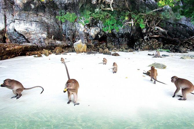 Private VIP Speed Boat to Phi Phi & Bamboo Islands - FAQ