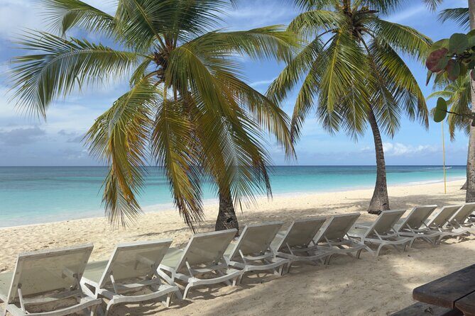 PRIVATE VIP tour Saona Island with Snorkeling, Starfish, Turtles - Meeting Points and Timing