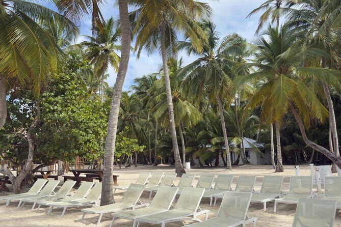 PRIVATE VIP tour Saona Island with Snorkeling, Starfish, Turtles - What Do Travelers Say?