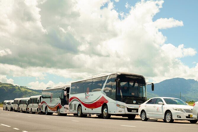 Private VIP Transfers - All Hotels to Nadi International Airport - An In-Depth Look at the Service