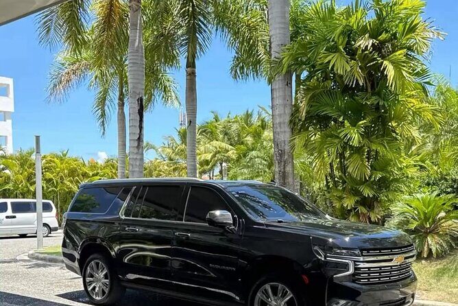 Private VIP Transfers from Punta Cana Airport to Hotels - What Travelers Are Saying (Based on Reviews)