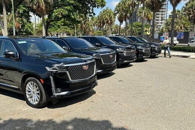 Private & VIP Transfers from Punta Cana Airport to Santo Domingo - Why Choose This Transfer?