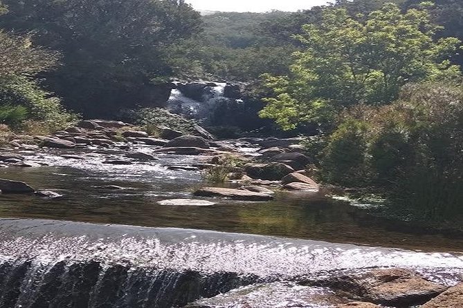 Private VipTours up to 4pax/8pax/19pax - Booking Information and Policies