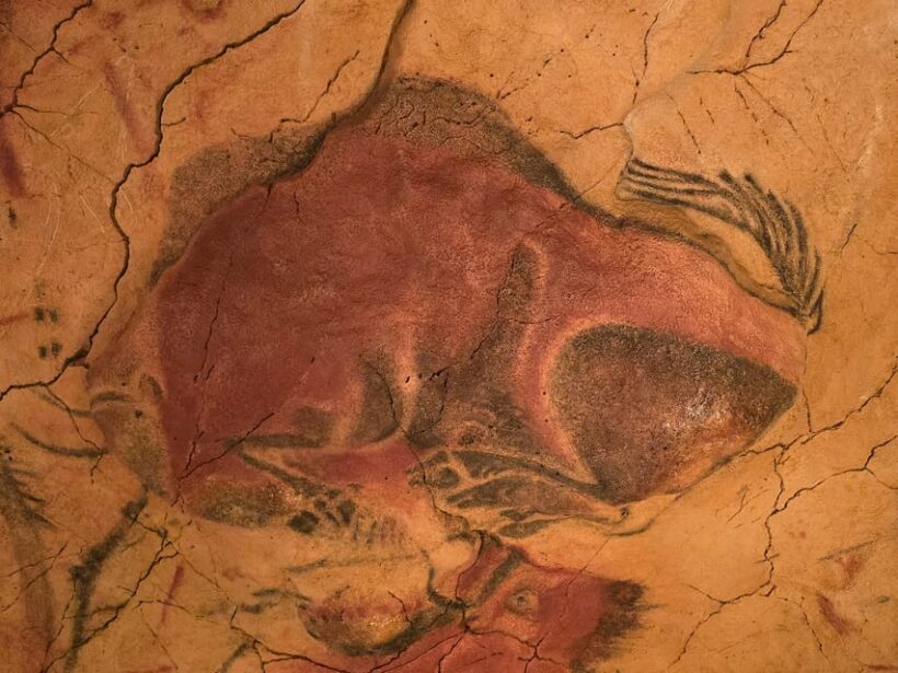 Private visit Altamira Museum and Neocave: the fascination of prehistory - Introduction