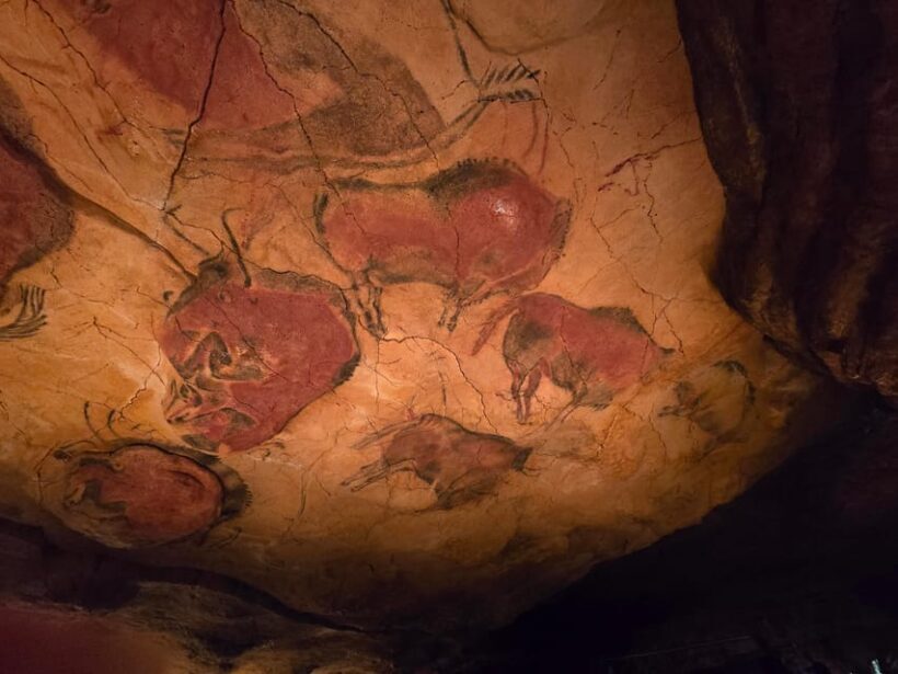 Private visit Altamira Museum and Neocave: the fascination of prehistory - Why Choose This Tour? An In-Depth Look