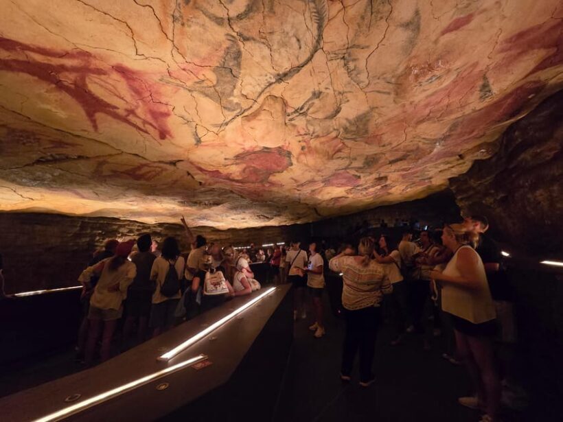 Private visit Altamira Museum and Neocave: the fascination of prehistory - What Travelers Say