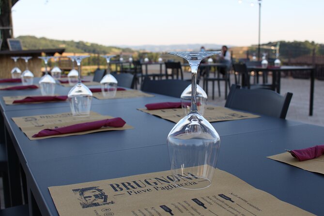 Private Visit to the Brugnoni Winery With Tasting of 4 Wines - The Winemaking Process