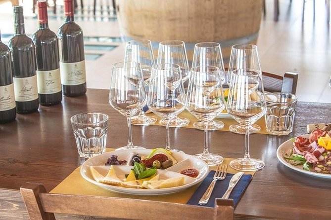 Private visit to the cellars of Etna with wine tasting - Who Should Consider This Tour?