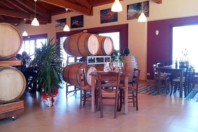 Private visit to the cellars of Etna with wine tasting - The Sum Up