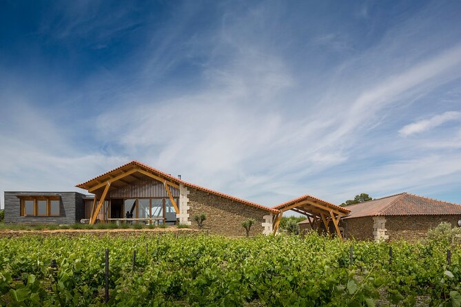 Private visit with wine tasting in Alijó Douro - Final Thoughts