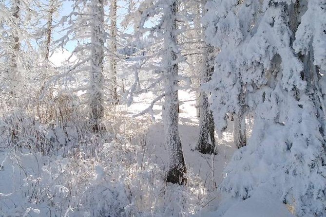 Private Vitosha Mountains Hiking with Black peak & Dragalevtsi Monastery - Final Thoughts
