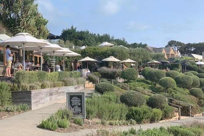 Private Waiheke Food & Wine Tour - The Value of a Luxury Tour