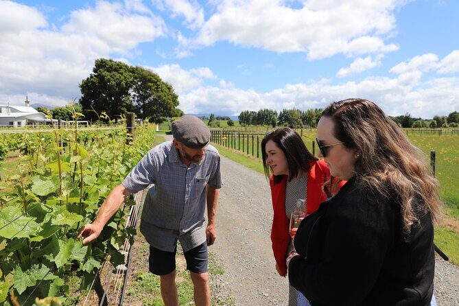 Private Wairarapa Wine Delights Tour from Wellington - A Detailed Look at the Itinerary