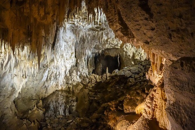 Private Waitomo Caves Tour - Auckland Tour House - Key Points