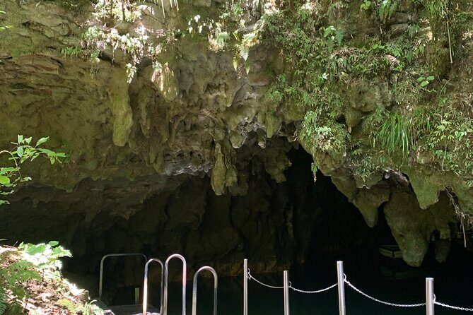 Private Waitomo Caves Tour - Auckland Tour House - Marakopa Falls: The Scenic Above-Ground Highlight