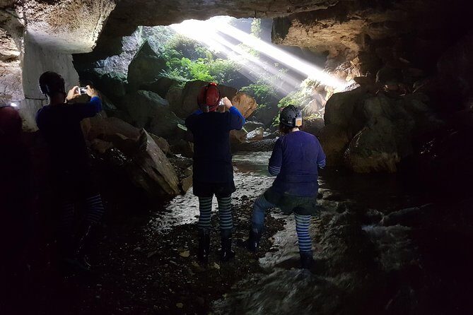 Private Waitomo Glowworm Cave Tours - Why Choose This Tour?