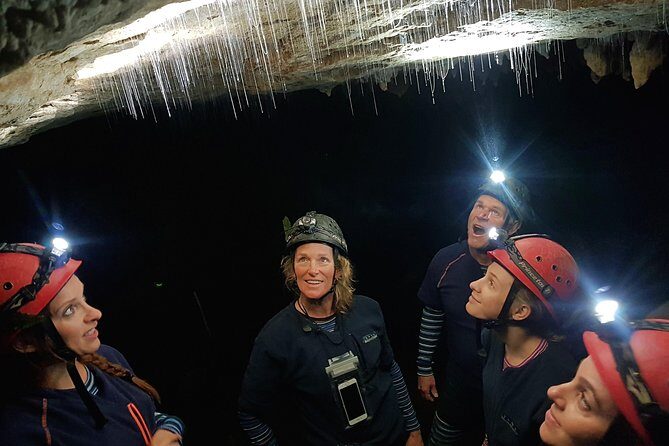 Private Waitomo Glowworm Cave Tours - Practical Details and Tips