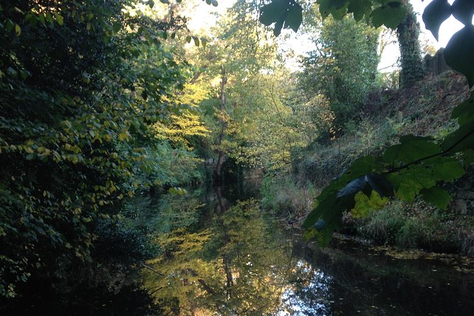 Private Walk: Country in the City - Key Points