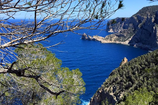 Private Walking & Hiking Experience Ibiza - Health and Safety Considerations