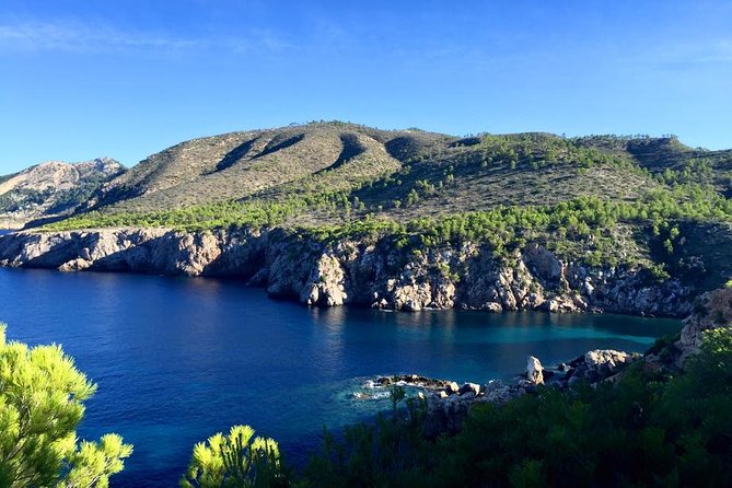Private Walking & Hiking Experience Ibiza - Participant Reviews Highlights