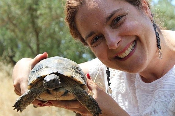 Private Walking Tour- 3000 years of History around the Acropolis Rock - Who Is This Tour Best For?