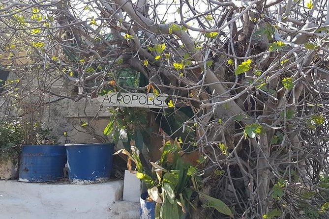 Private walking tour- Enjoy a Sunset Tour in Plaka - FAQ