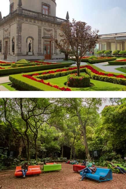 Private walking tour Gems of Historic Center of Mexico City - An In-Depth Look at the Tour Experience