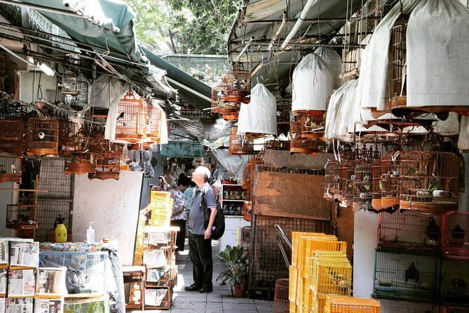 Private Walking Tour: Hong Kong Local Markets Hopper - Introduction
