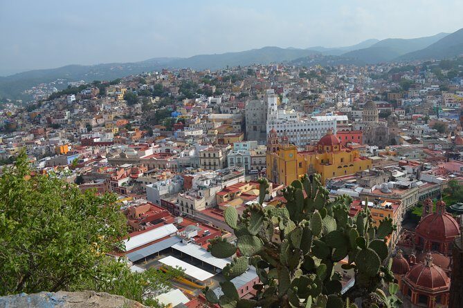 Private walking tour in Guanajuato (available from 1 person) - Why This Tour Offers Great Value