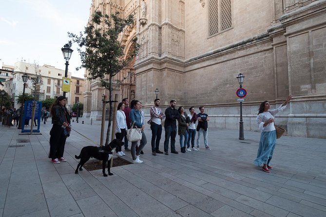 Private Walking Tour in Palma De Mallorca With Local Guides. - Accessibility Features