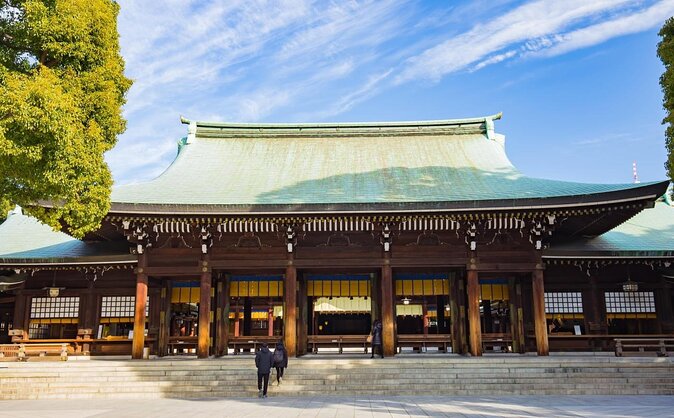 Private Walking Tour in Tokyo - Perfect for First-Time Visitors - Key Points