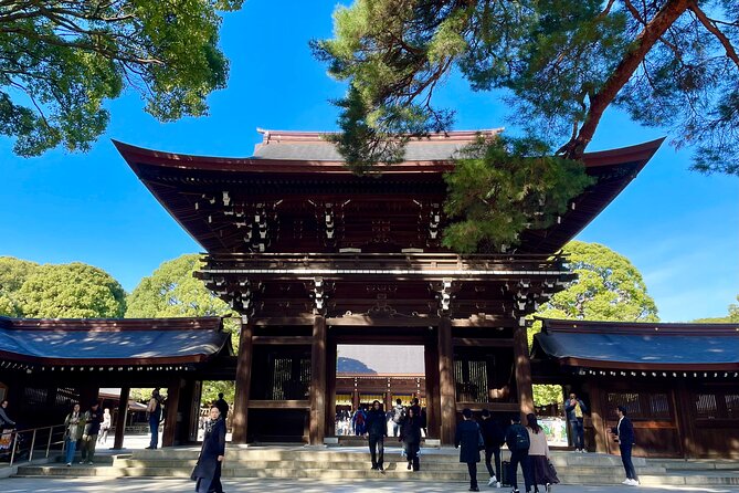 Private Walking Tour in Tokyo - Perfect for First-Time Visitors - Why Choose This Private Walking Tour