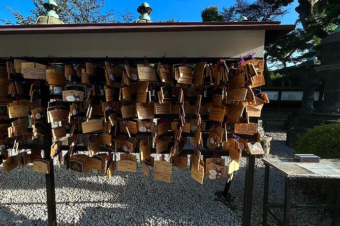 Private Walking Tour in Tokyo With a Local Guide - Traveler Reviews