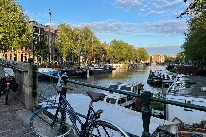 Private Walking Tour of Amsterdam - Introduction