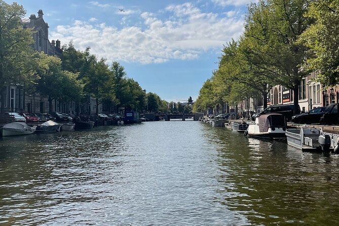 Private Walking Tour of Amsterdam - Who Should Consider This Tour?