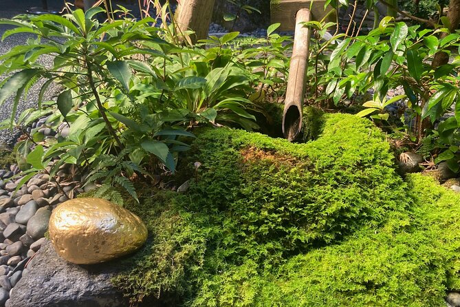 Private Walking Tour of Kanazawas Historical Districts 4h - Accessibility