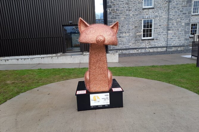 Private Walking Tour of Kilkenny. English, French or German - Tour Details