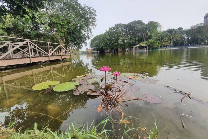 Private Walking Tour of the Shah Alam Lake Gardens with Pick Up and Lunch - Discovering Shah Alam Lake Gardens: A Thoughtful Look at the Private Walking Tour