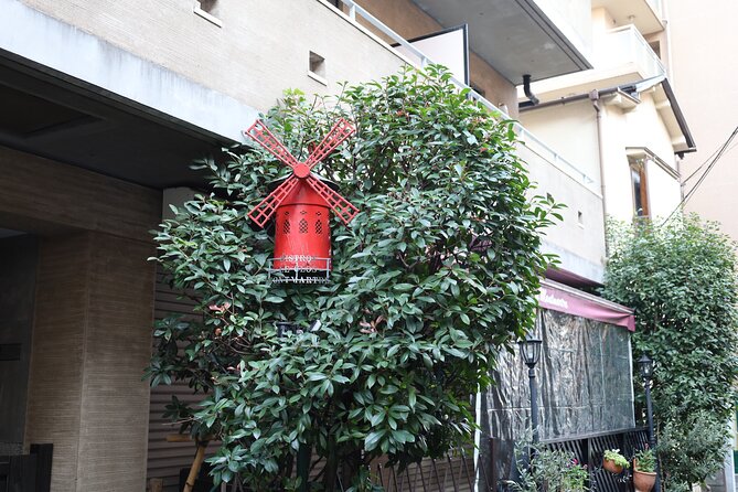 Private Walking Tour: The Little Kyoto of Tokyo, Kagurazaka - Accessibility and Additional Info