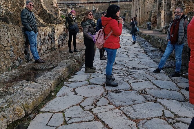 Private Walking Tour Through the Historical City of Herculaneum - Highlights of the Tour