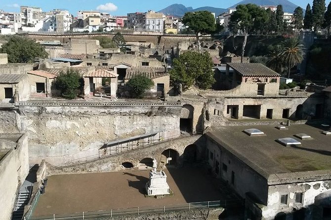 Private Walking Tour Through the Historical City of Herculaneum - Accessibility and Recommended Items