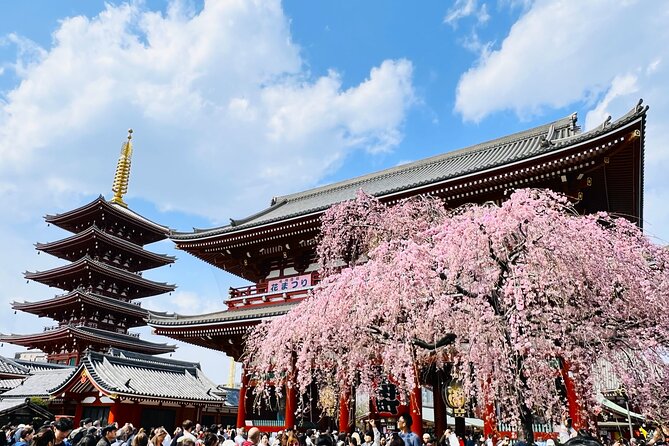 Private Walking Tour to Explore Tokyo Based on Your Interests - Key Points