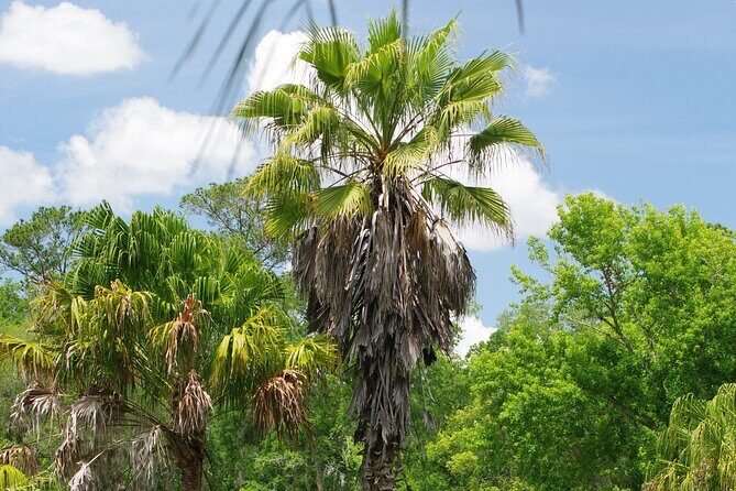 Private Walking Tour to St. John's Botanical Garden - Final Thoughts