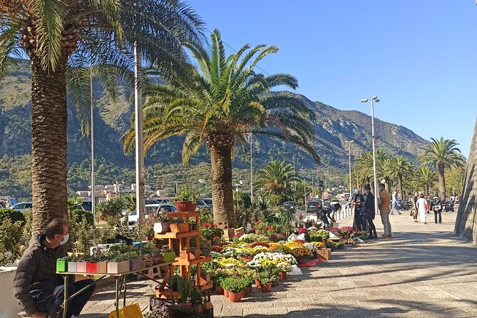 Private Walking tour with Wine and Food - What the Reviews Reveal