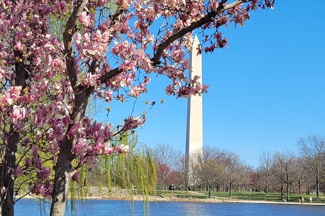 Private Washington DC Tour With Changing of the Guard Ceremony - Customized and Engaging Experience