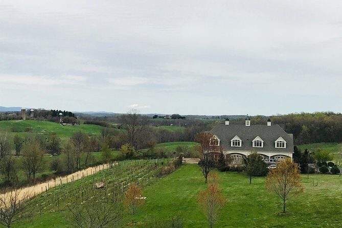 Private Washington DC Virginia Winery Wine Tasting Tour -Spirited - Transportation and Logistics