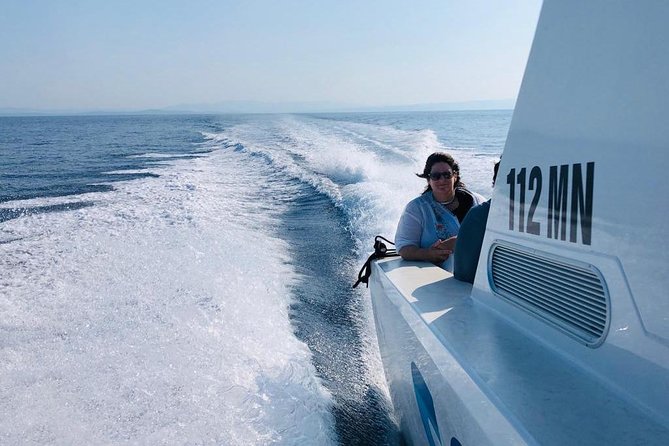 Private Water taxi from Split to Brac island - The Reviews: Authentic Voices from Travelers