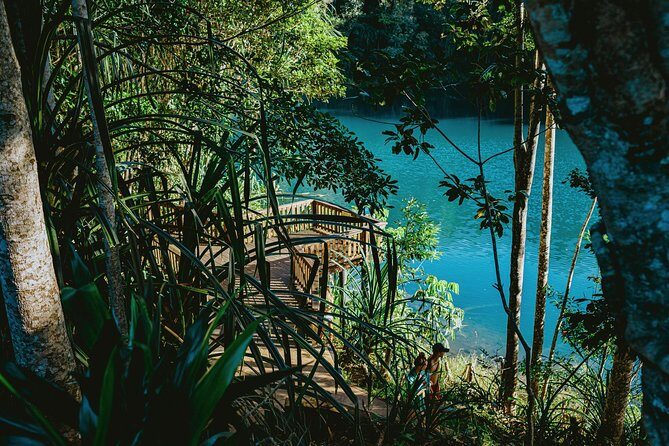 Private Waterfall and Rainforest Day Tour - The Guides and the Group Experience